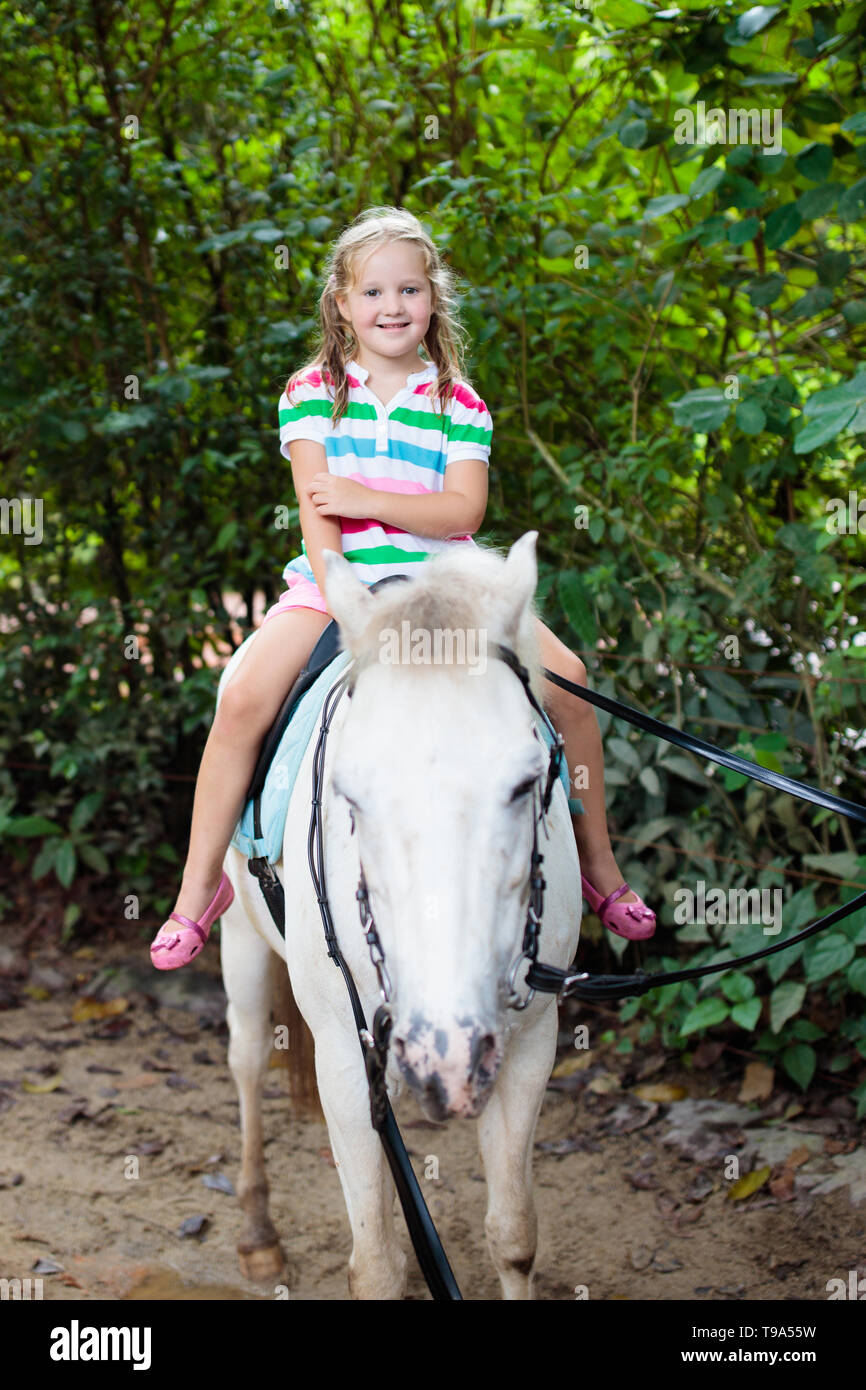 Little girl riding horse on summer vacation in country ranch. Kids ...