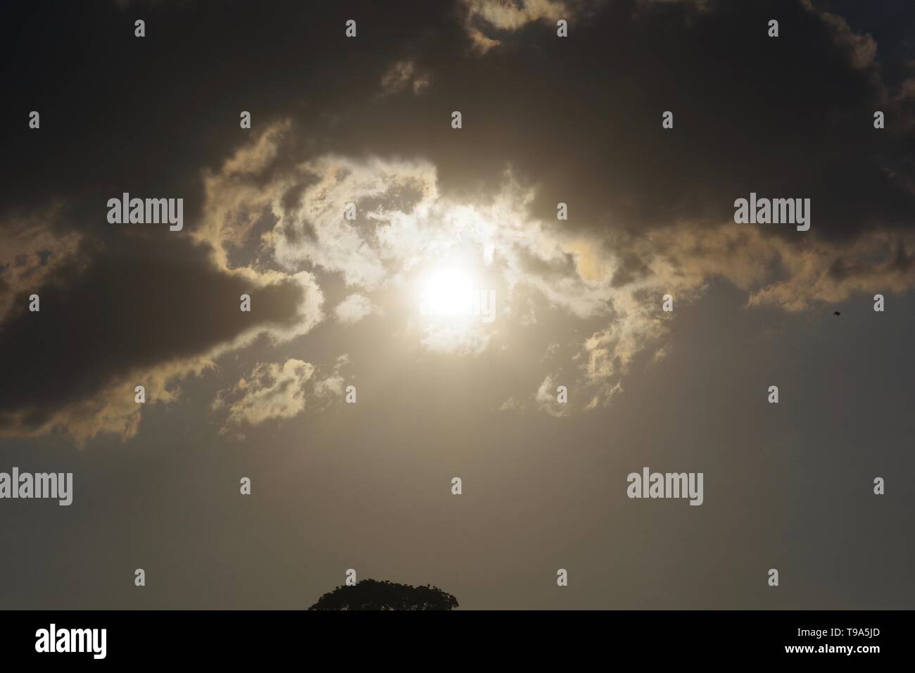 Stunning Crepuscular Sun Rays from Behind Cumulus Mediocris Cloud at ...