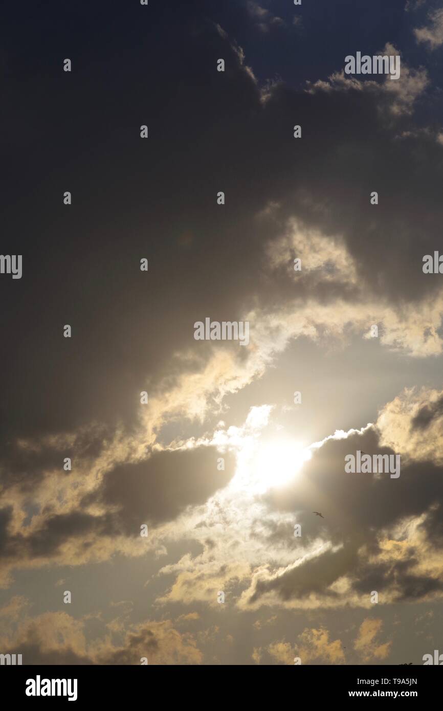 Stunning Crepuscular Sun Rays from Behind Cumulus Mediocris Cloud at ...