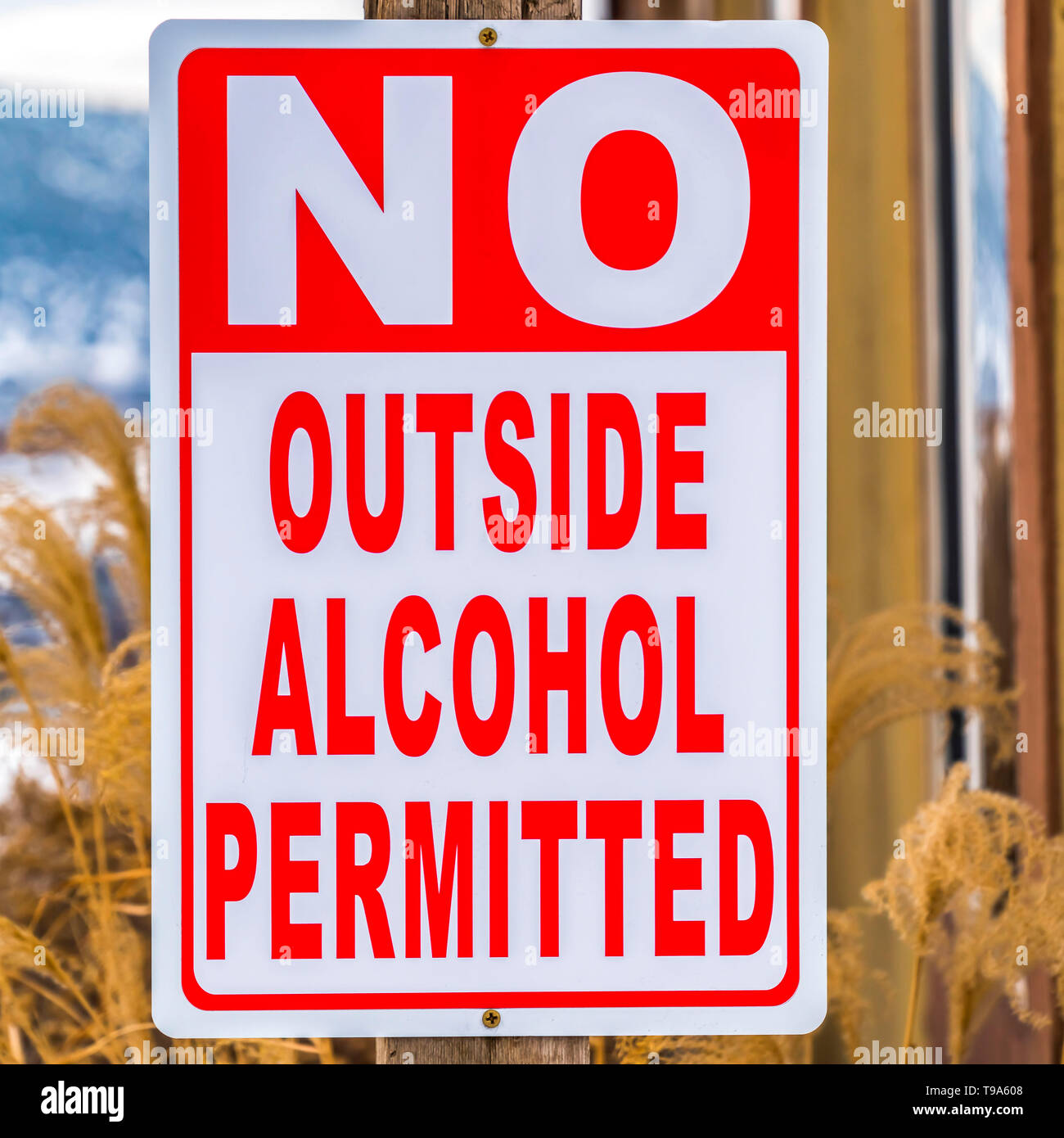 No Alcohol Sign High Resolution Stock Photography and Images - Alamy