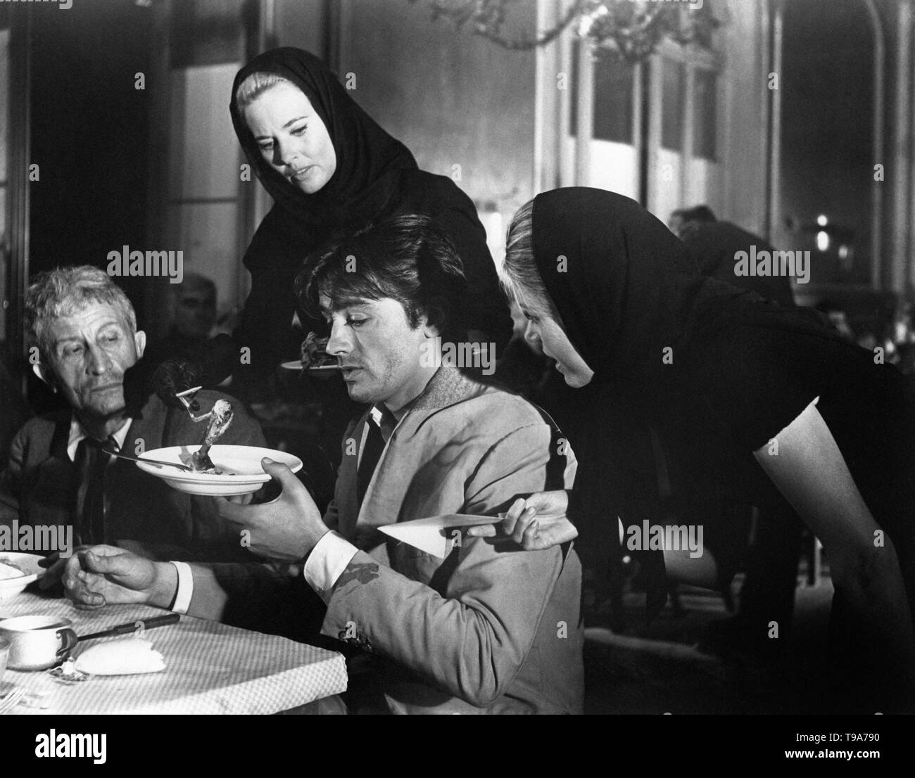 Les Felins Stock Photos & Les Felins Stock Images - Alamy