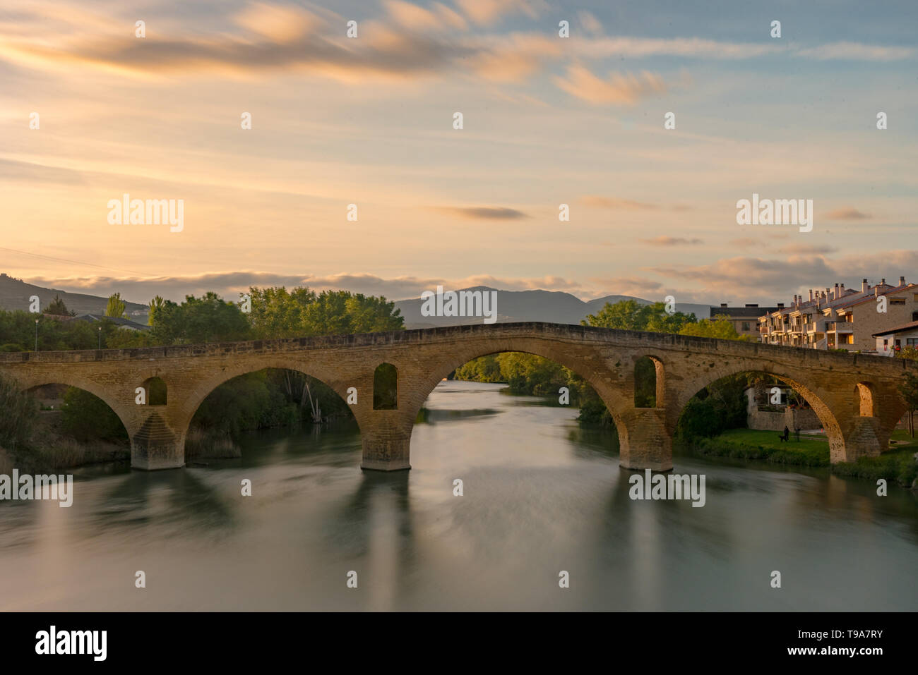 Puente la Reina (Bridge of the Queen) bridge over the Arga river ...