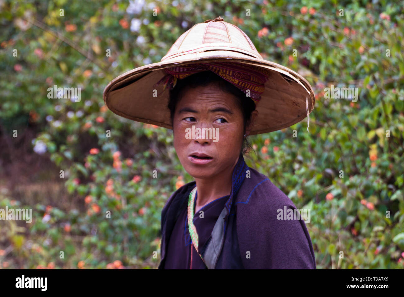 A portrait of a Shan woman wearing traditional clothes and chewing ...