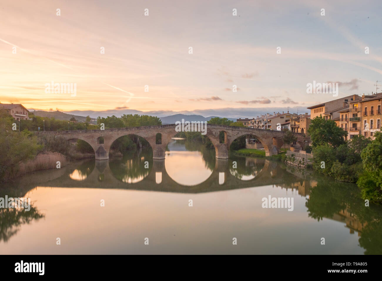 Puente la Reina (Bridge of the Queen) bridge over the Arga river ...