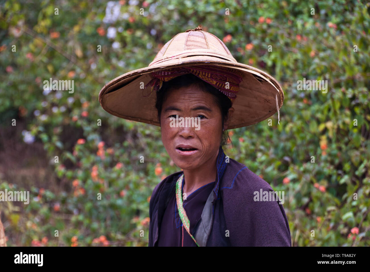 A portrait of a Shan woman wearing traditional clothes and chewing ...