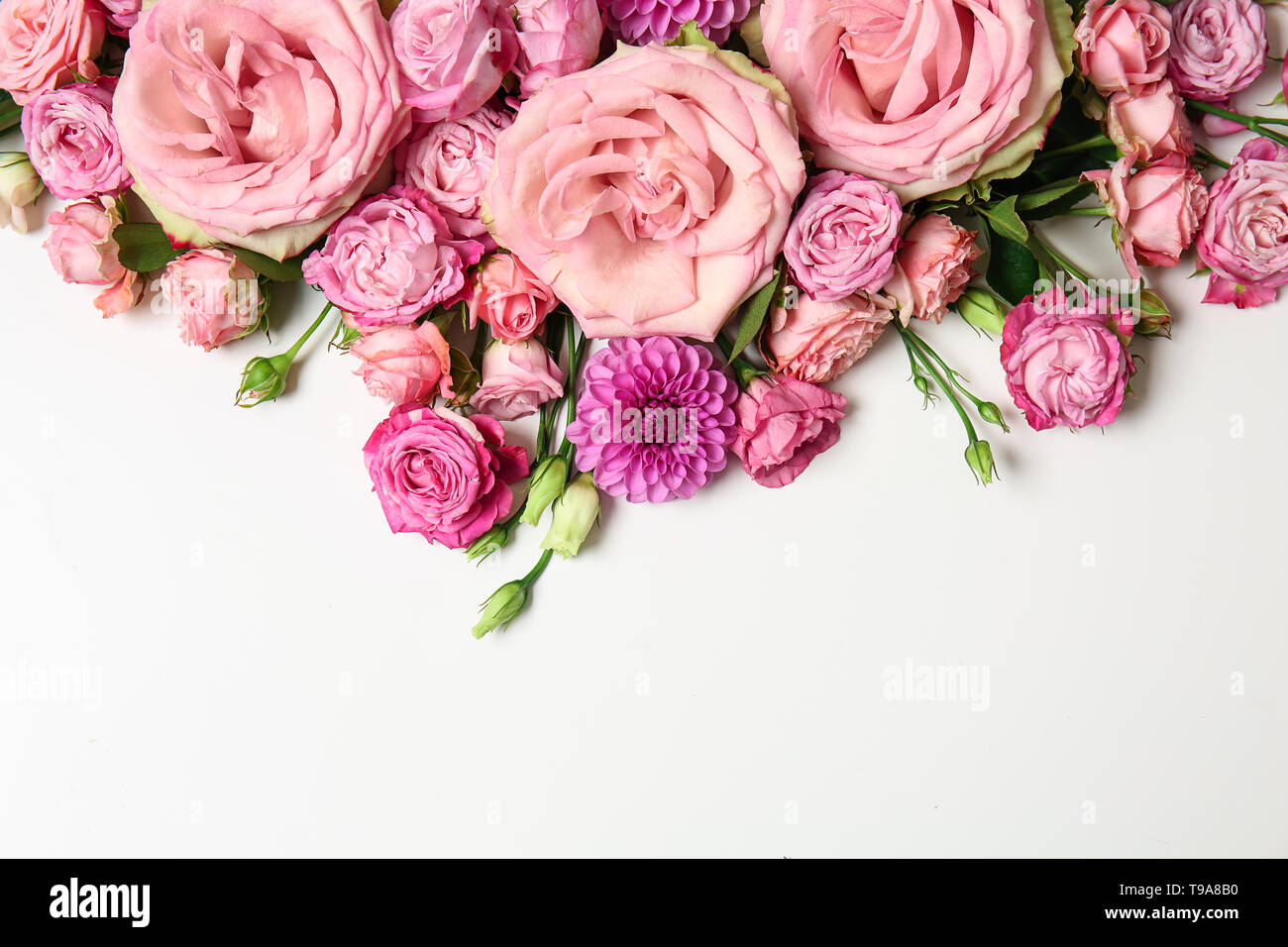 Beautiful pink flowers on white background Stock Photo - Alamy