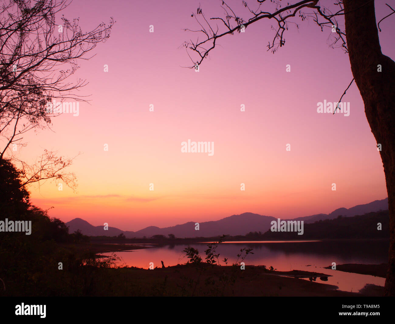 Dawn in the Valley. Summer sunrise landscape. Forest, lake, river ...