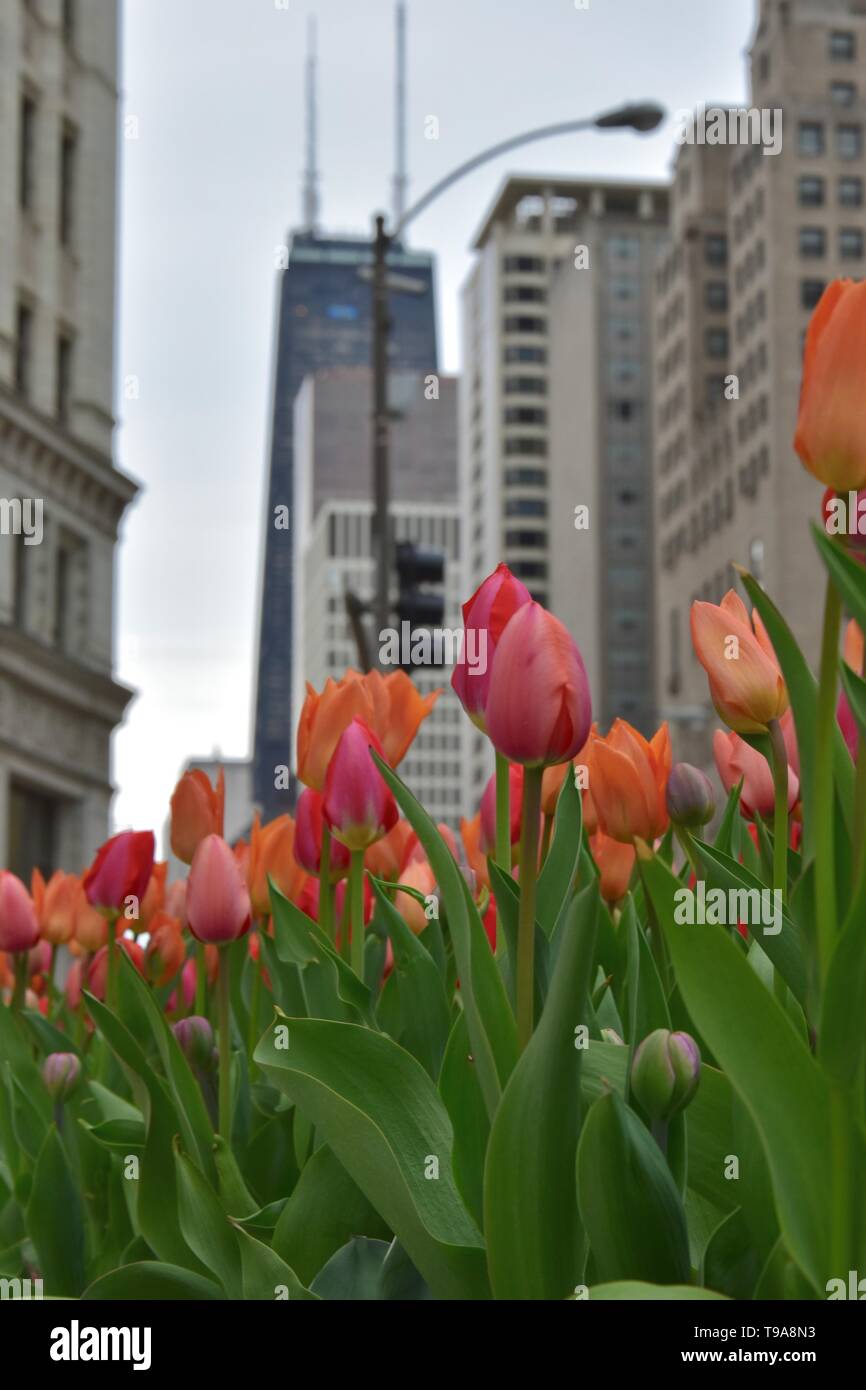 Chicago streetscape hi-res stock photography and images - Alamy