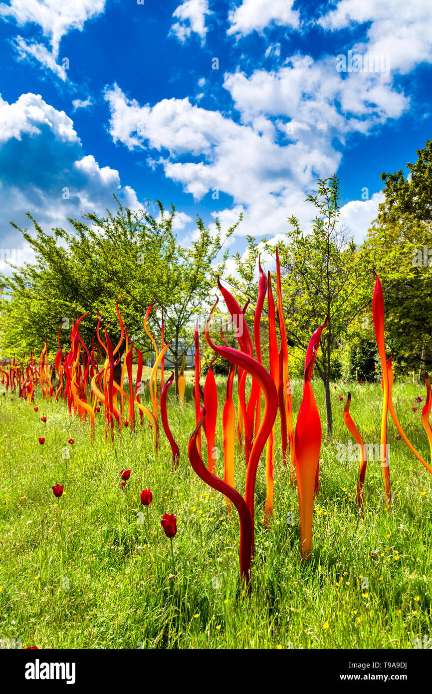 Copper birch hi-res stock photography and images - Alamy