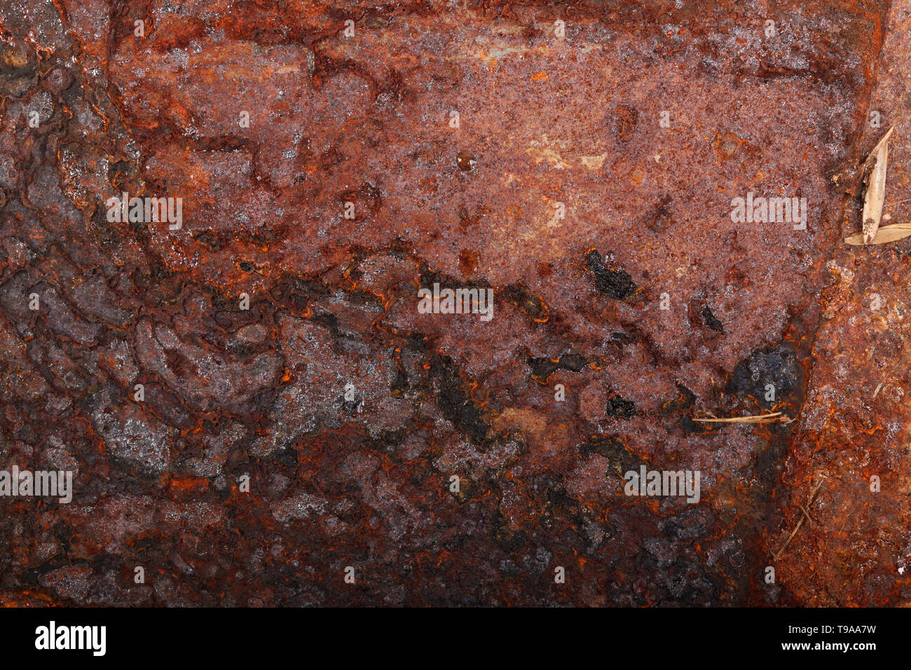 old rusty metal. macro background Stock Photo - Alamy