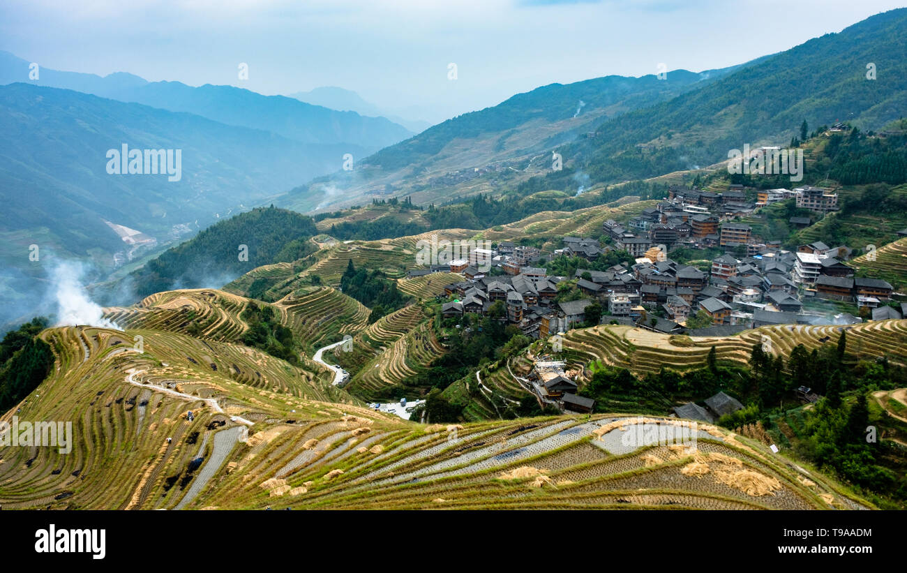 Rice fields china hi-res stock photography and images - Alamy