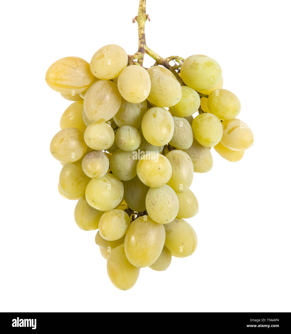 Yellow grapes hi-res stock photography and images - Alamy