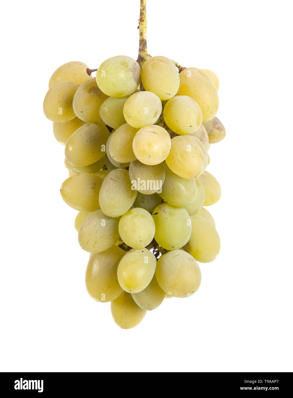 Bunch of ripe yellow grapes. isolated on white background Stock Photo ...