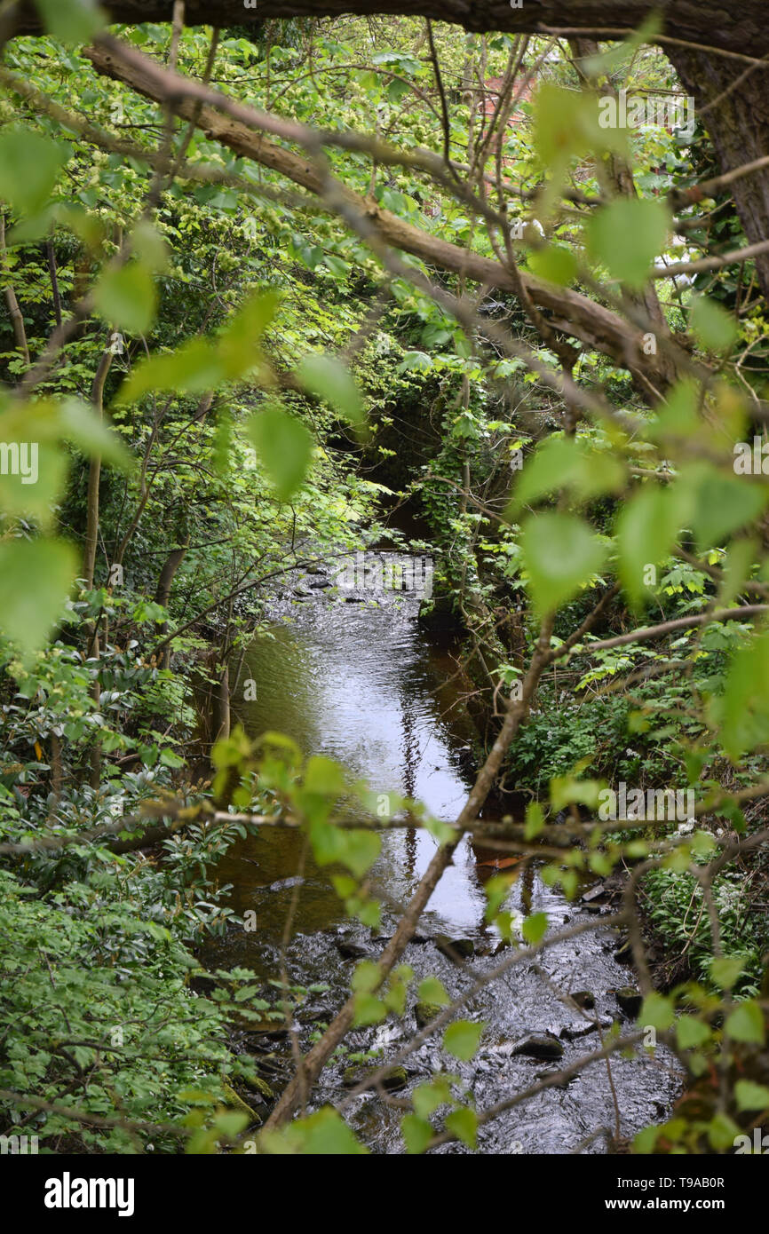 Ruabon hi-res stock photography and images - Alamy