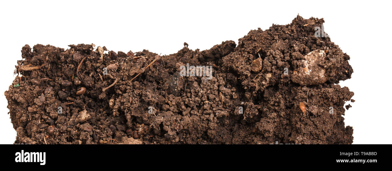 Soil archeology hi-res stock photography and images - Alamy