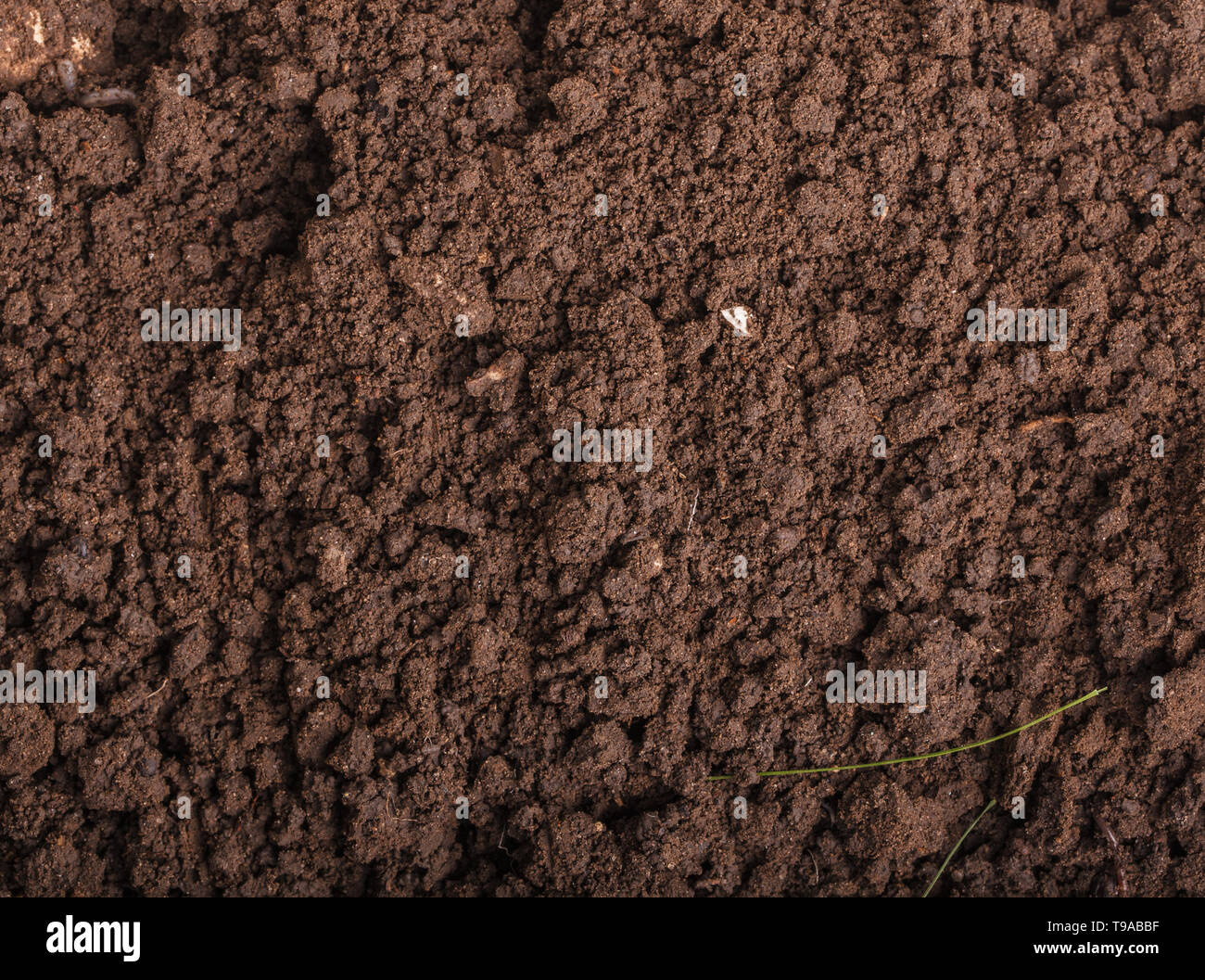 Soils for plants. background Stock Photo - Alamy