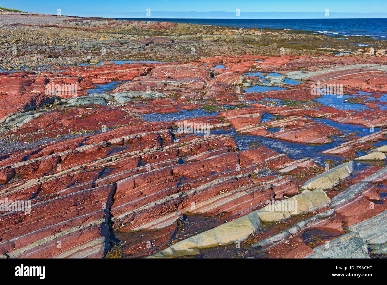 Rocky coastline along the Gulf of St. Lawrence Baie-des-Sables Quebec ...