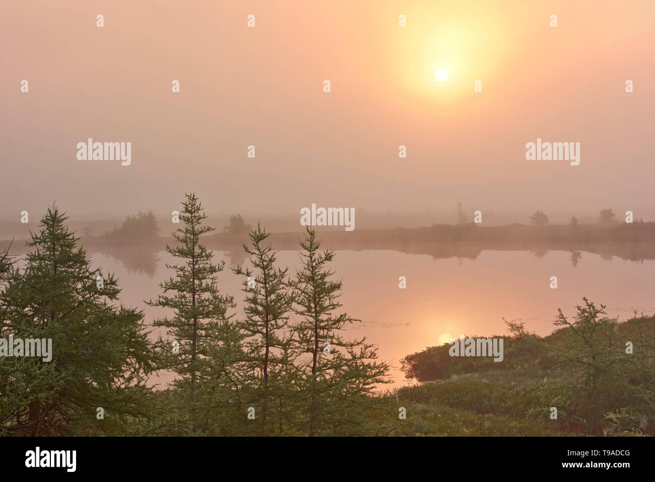 Pierre grandmaison hi-res stock photography and images - Alamy