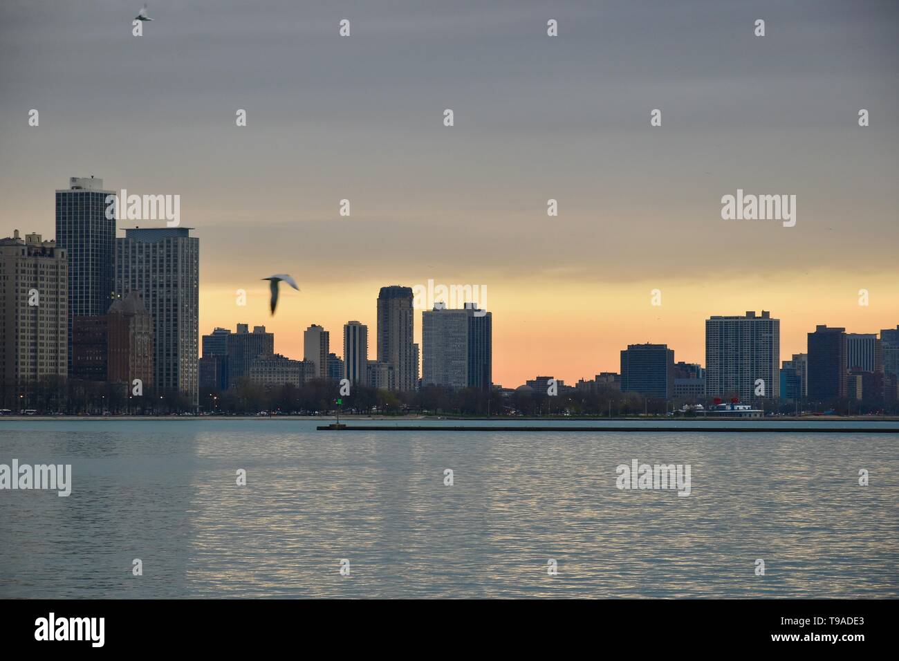 Chicago's iconic Gold Coast along the Lake Michigan waterfront dotted ...