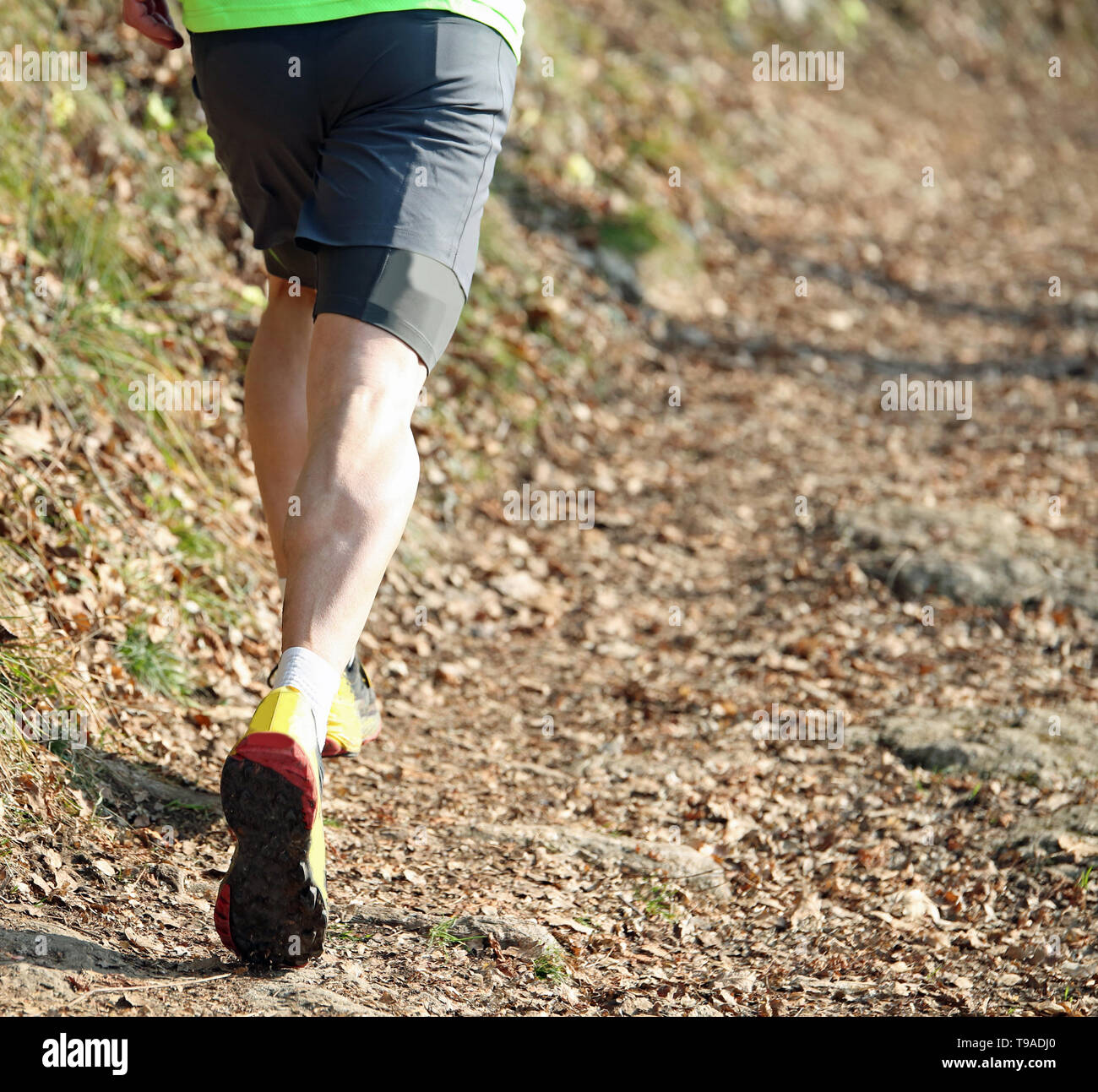 muscular legs of the young athlete during a cross-country running race ...