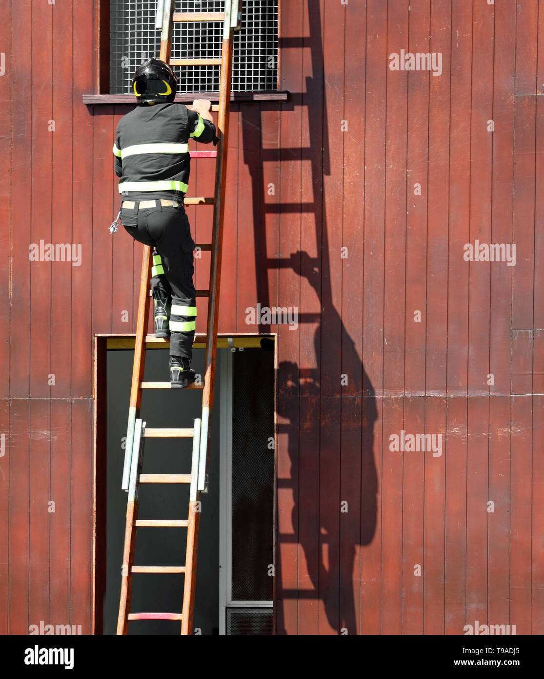 rescue exercises with the wooden ladder and the firefighter in ...