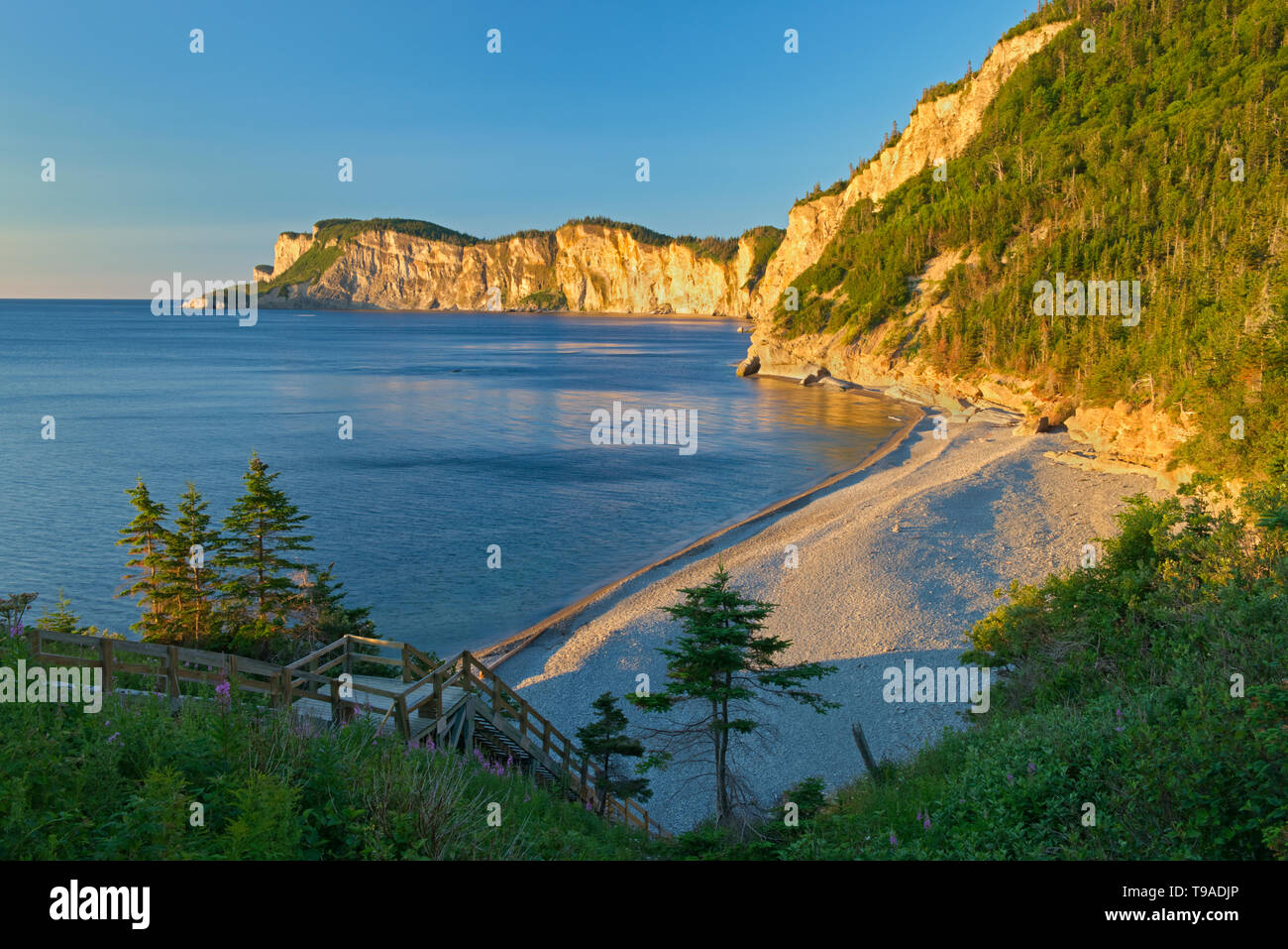 Limestone rcok along Cap Gaspé (background) from Cap-Bon-Ami in ...