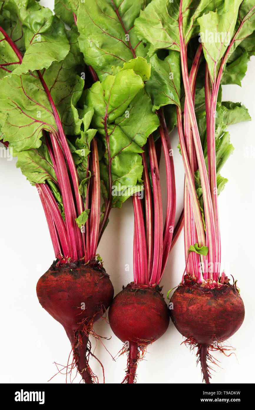 Young beets with tops are located on a white background vertically, top ...