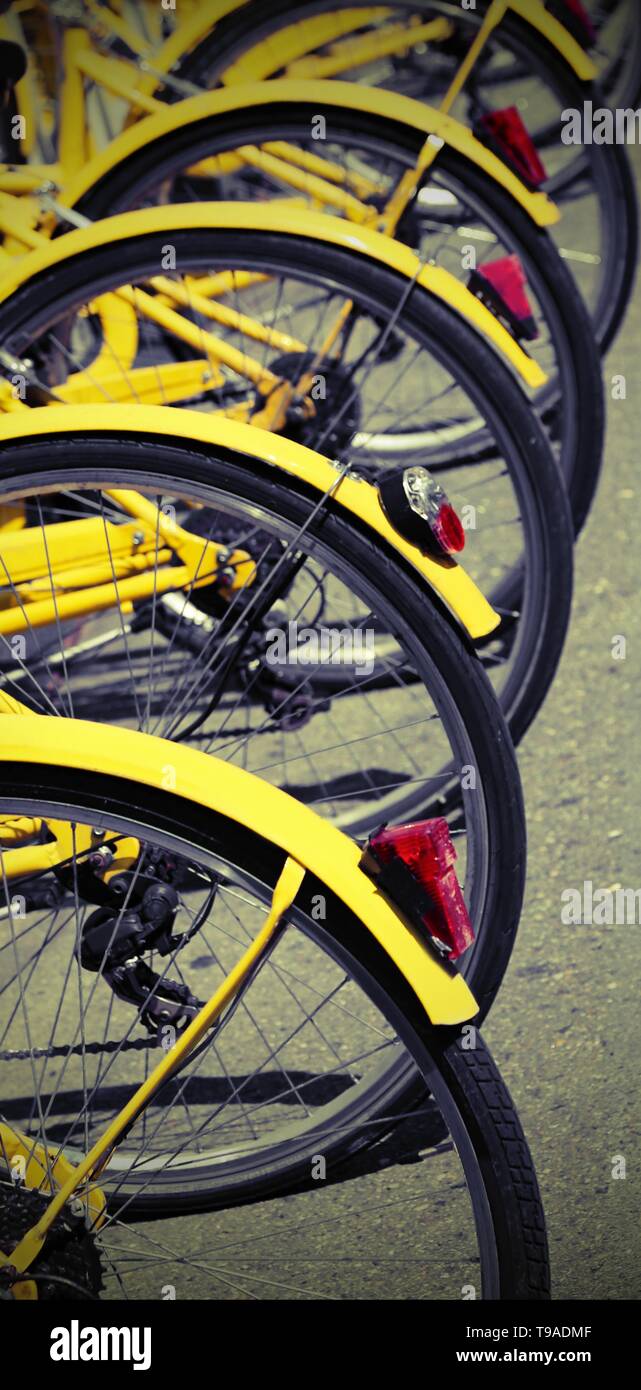 MANY yellow bikes of the sharing bike system with vintage toned effect ...