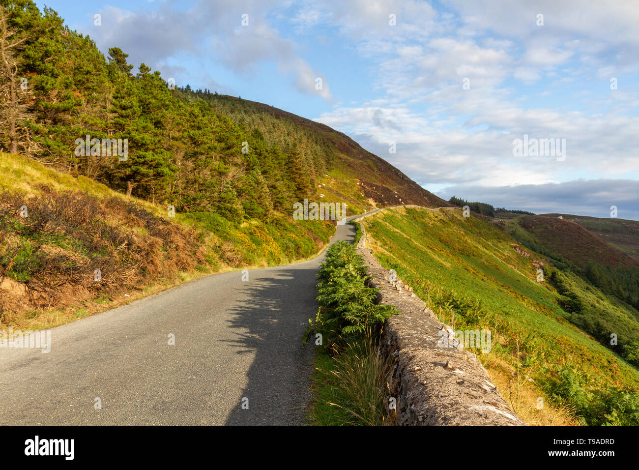 R759 hi-res stock photography and images - Alamy