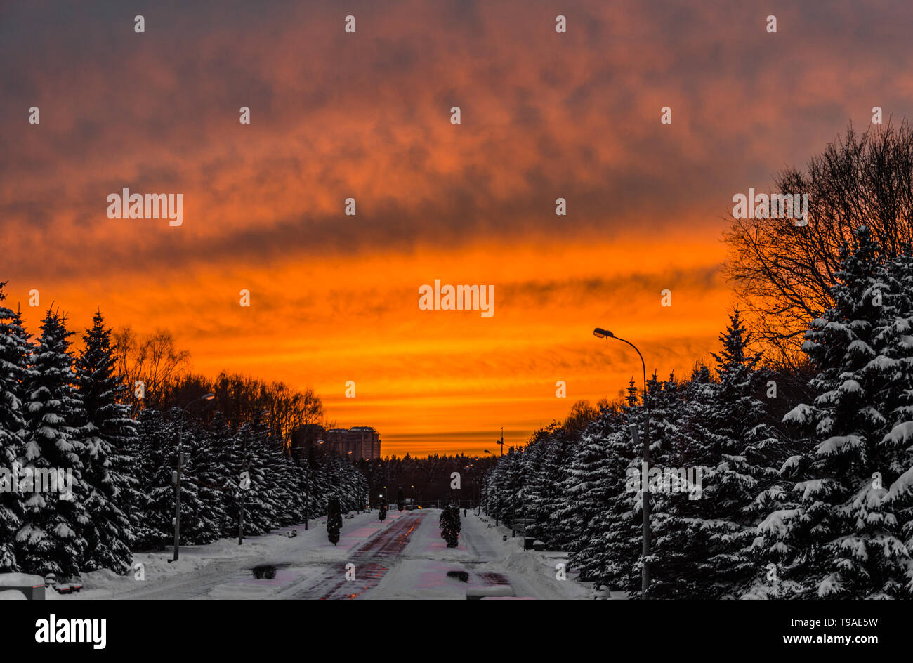 Fiery winter sunset hi-res stock photography and images - Alamy