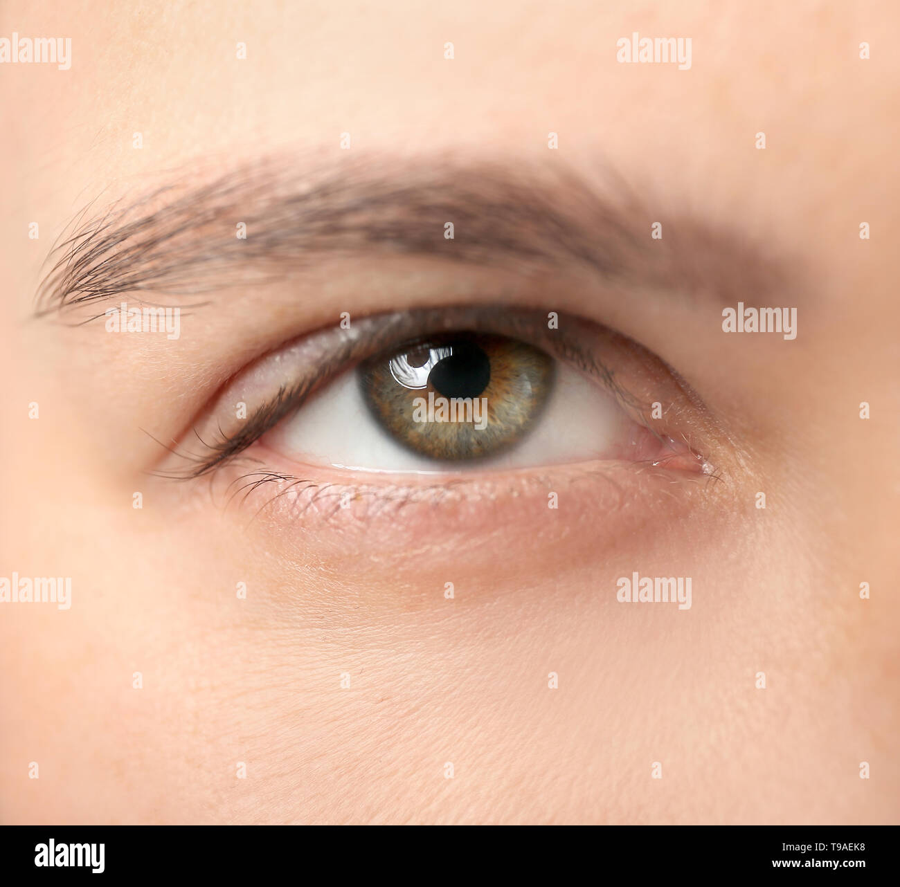 Beautiful female eye diagnosis hi-res stock photography and images - Alamy
