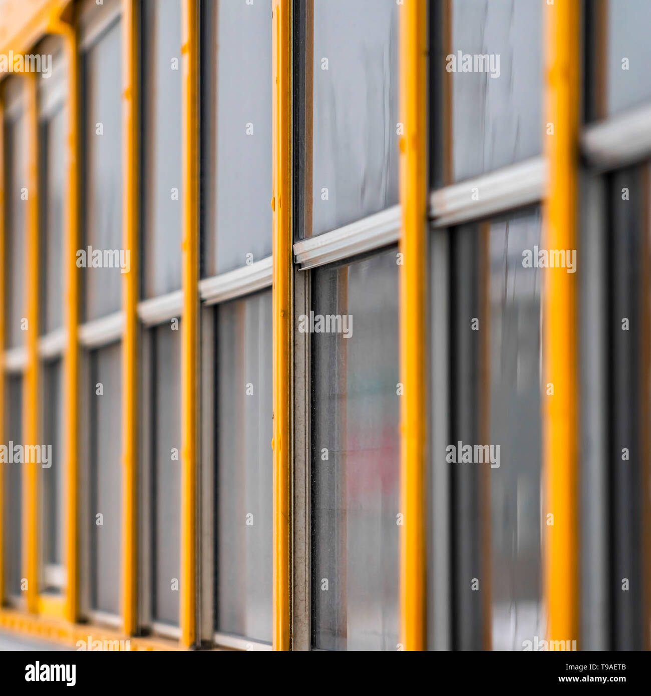 Square Exterior view of a yellow school bus with a close up on the ...