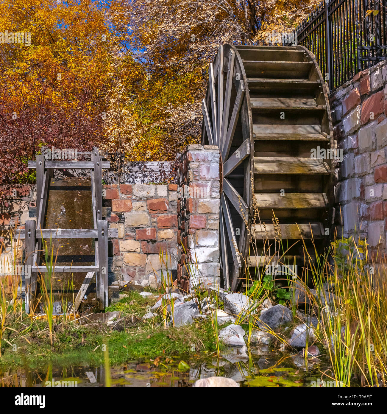 Clear Square Wooden water wheel and flume at a reflective pond with ...