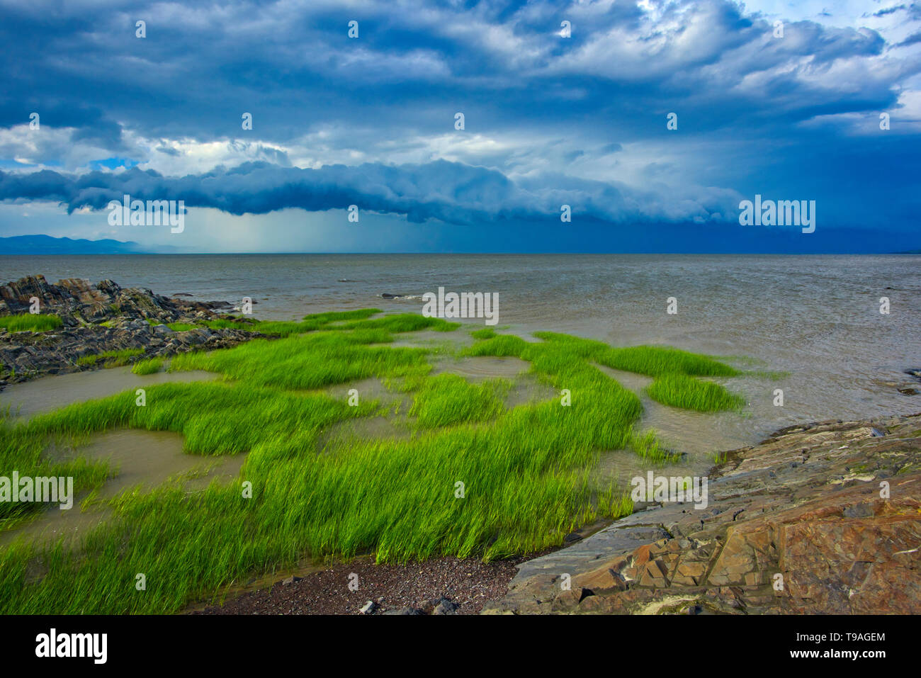 Saint laurent peninsula hi-res stock photography and images - Alamy