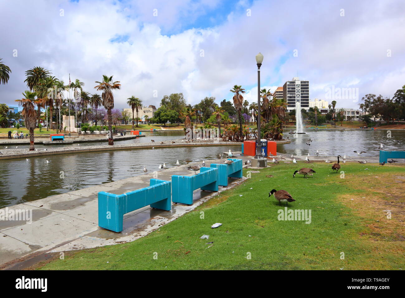 Mc duck hi-res stock photography and images - Alamy