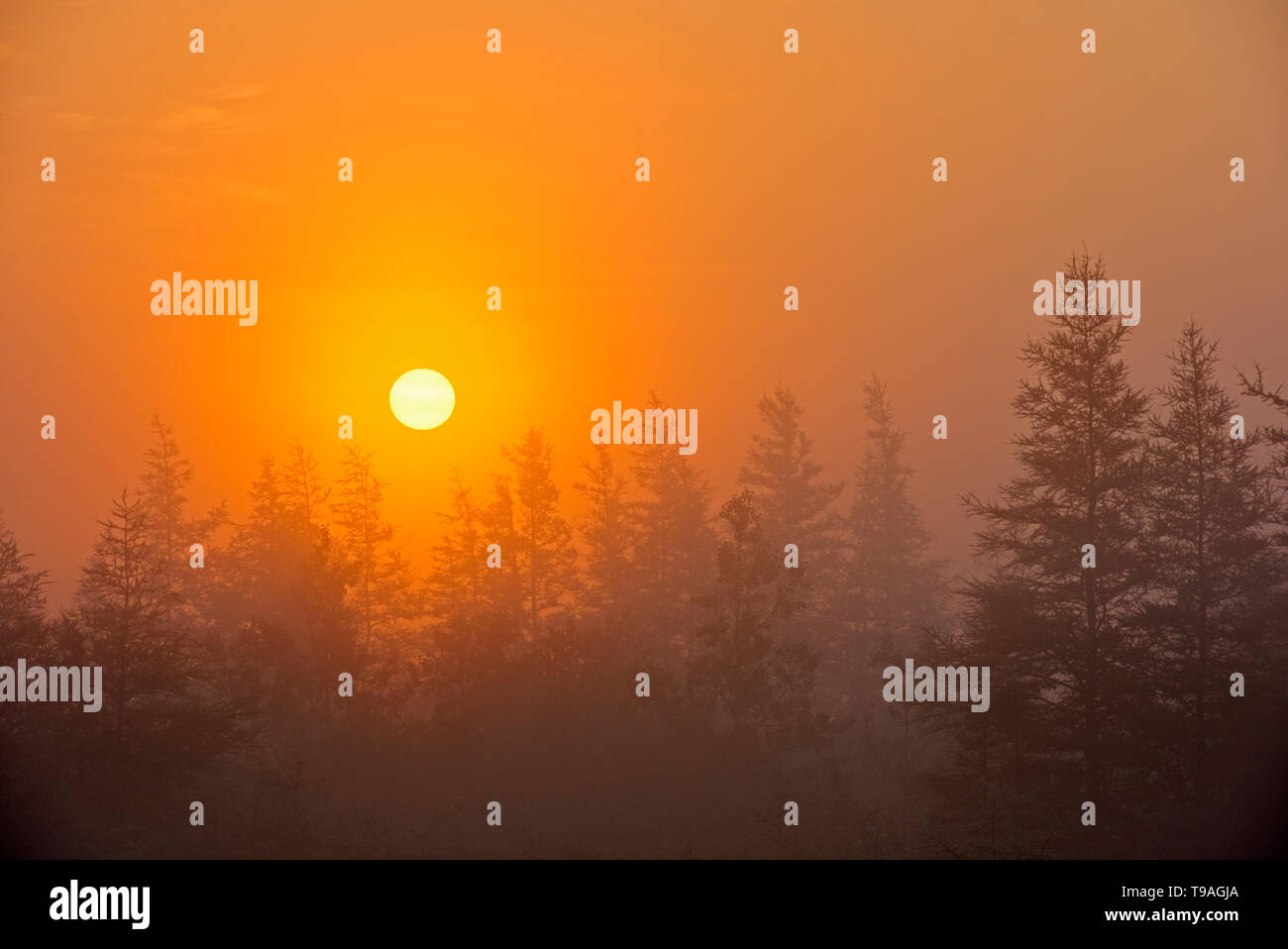 Pierre grandmaison hi-res stock photography and images - Alamy