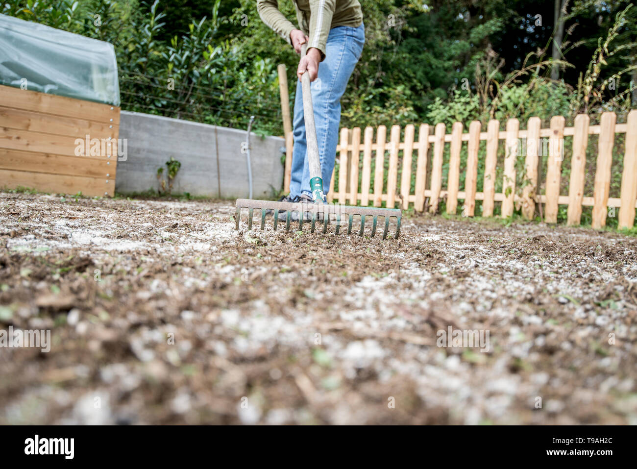 Pronged rake hi-res stock photography and images - Alamy