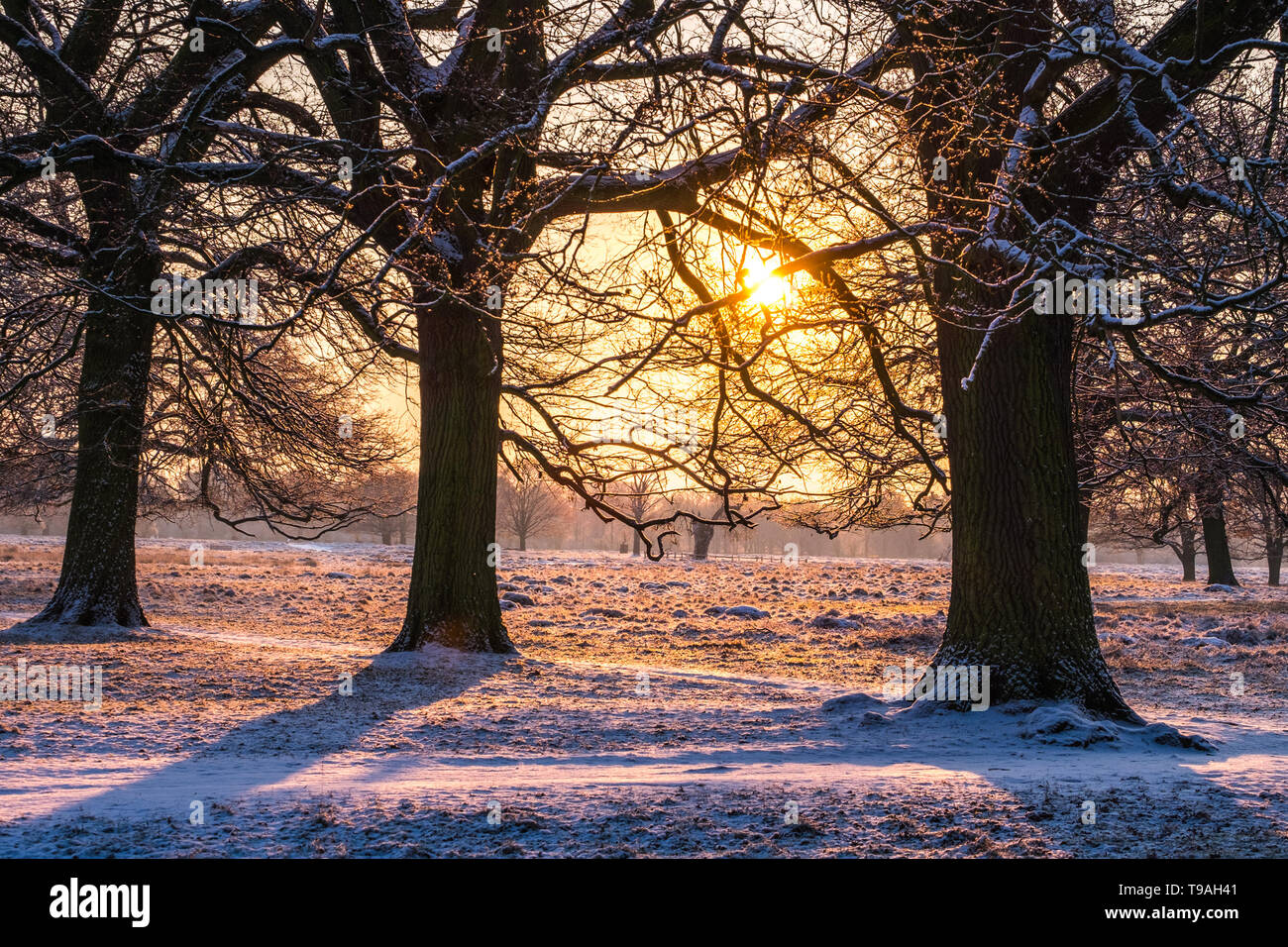 snow scene in the park Stock Photo - Alamy