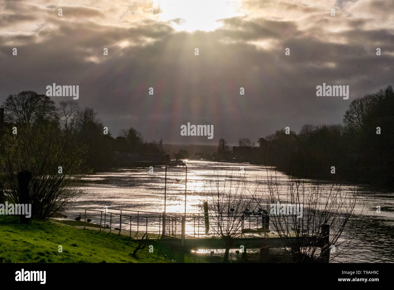 river thames at hampton court Stock Photo - Alamy