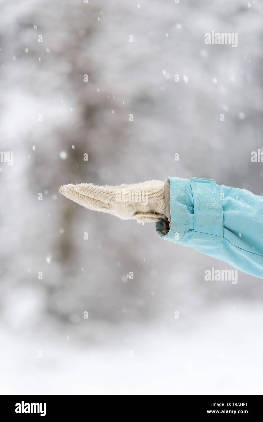 Closeup of female hand in woolen glove catching snowflakes in a winter ...