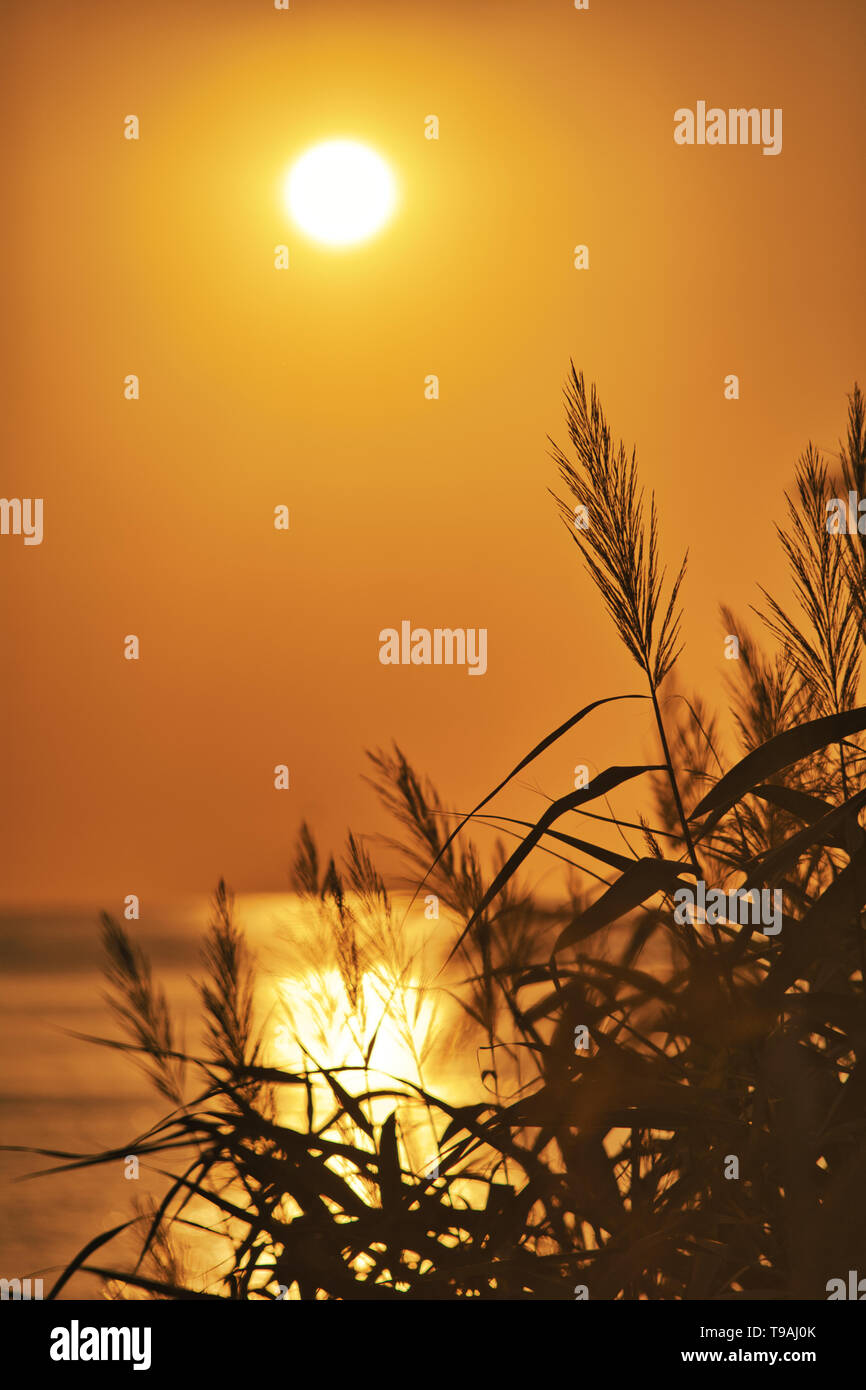 Beautiful promises hi-res stock photography and images - Alamy