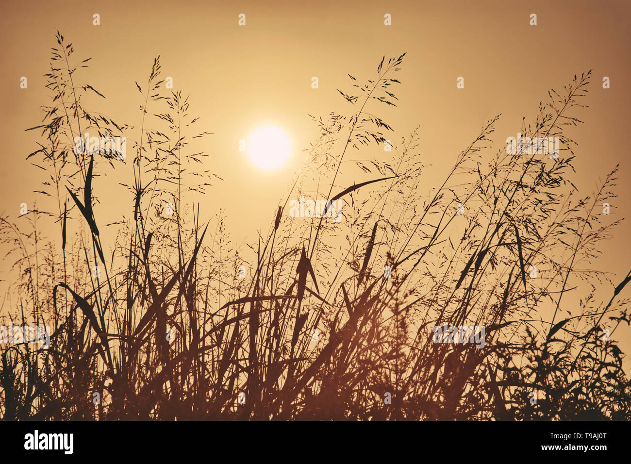 Beautiful promises hi-res stock photography and images - Alamy