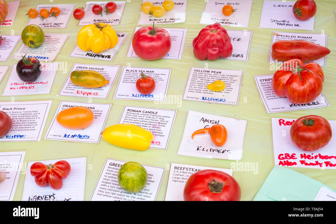 Heirloom tomato display at Farmerès Market Stock Photo - Alamy