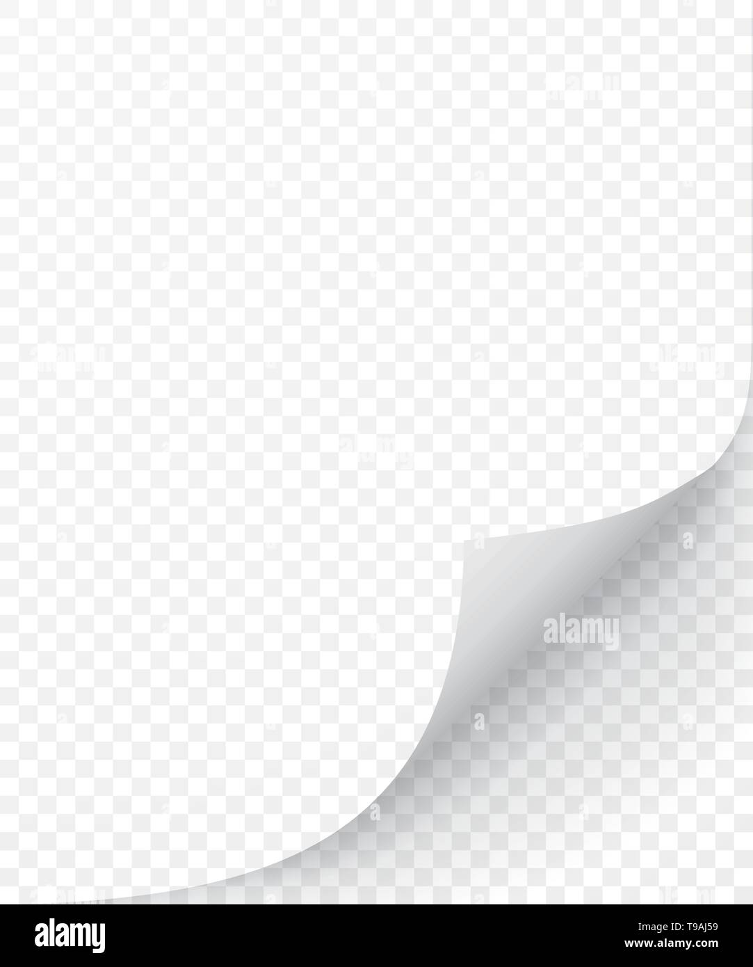 Sheet of paper with curled corner and soft shadow, template for your ...