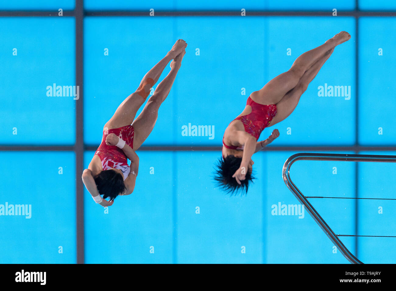 Womens diving platform hi-res stock photography and images - Alamy