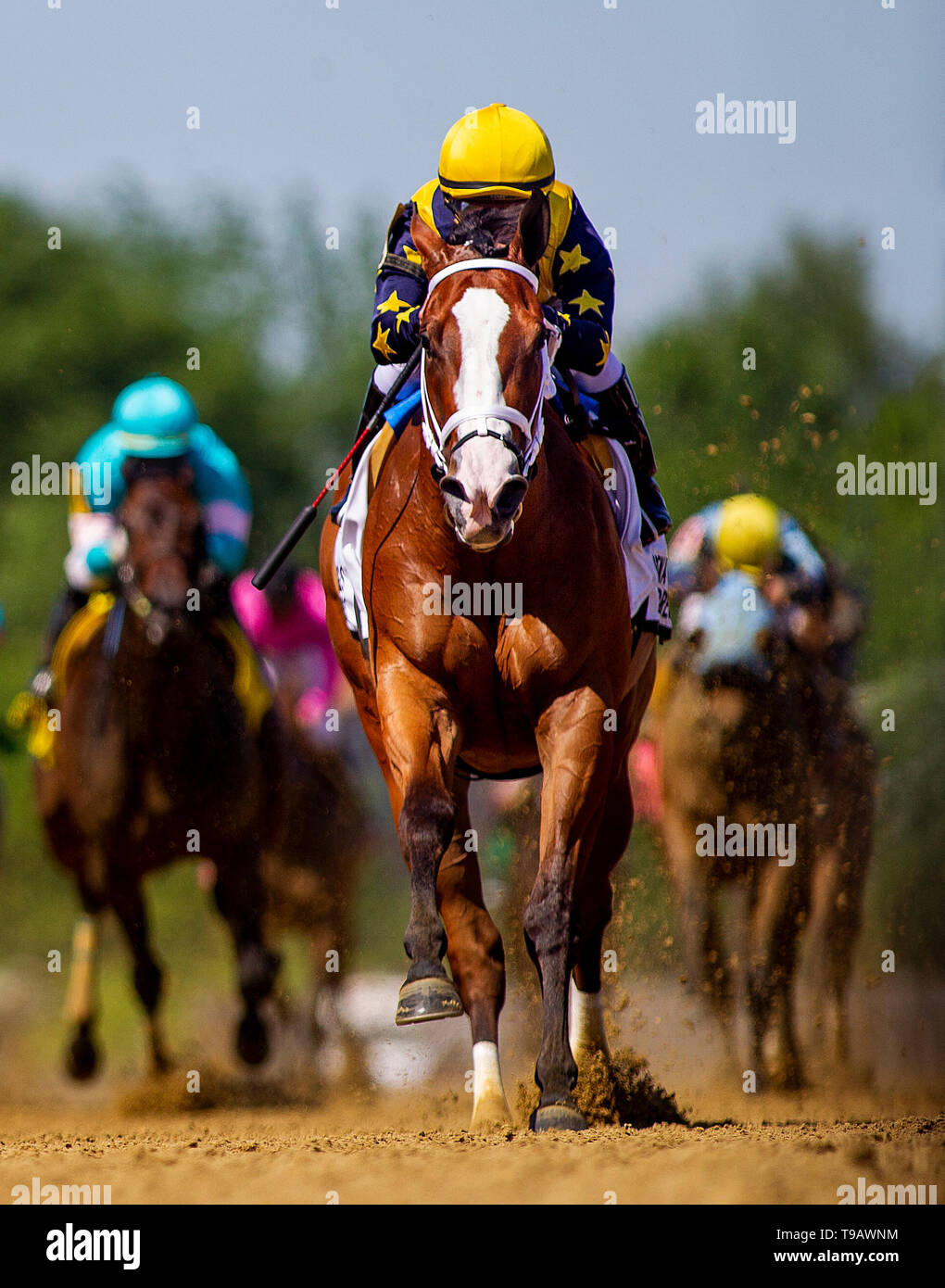 Baltimore, Maryland, USA. 17th May, 2019. MAY 17: Covfefe with Javier ...