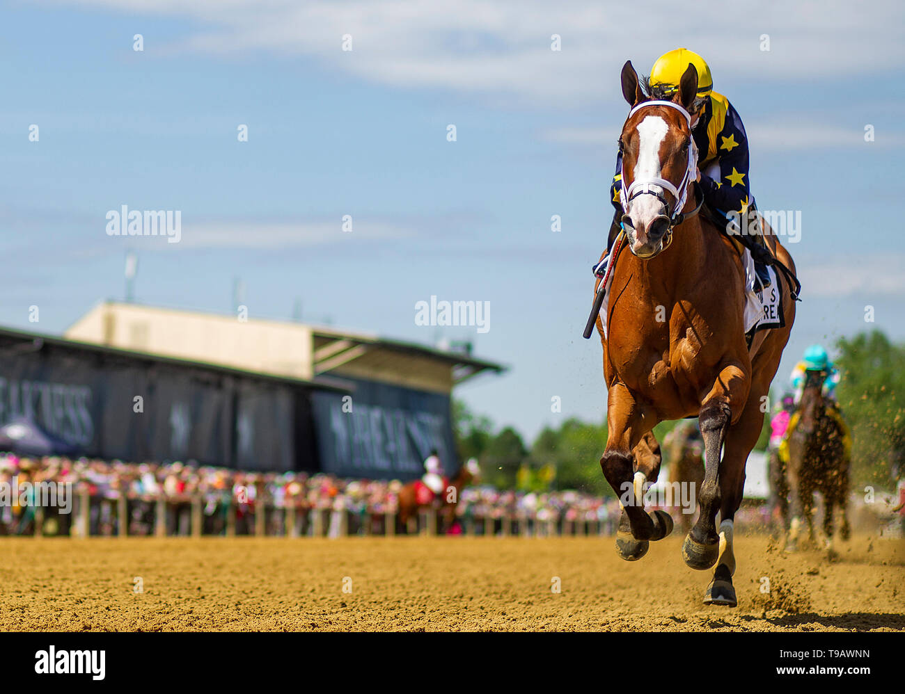 Baltimore, Maryland, USA. 18th May, 2019. MAY 17: Covfefe with Javier ...