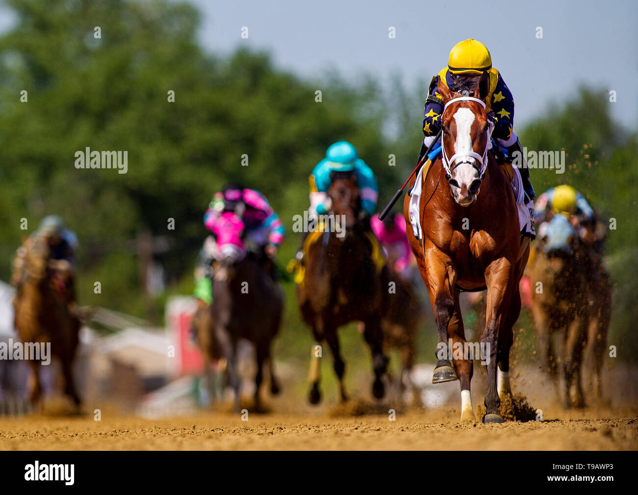 Miss maryland usa hi-res stock photography and images - Alamy