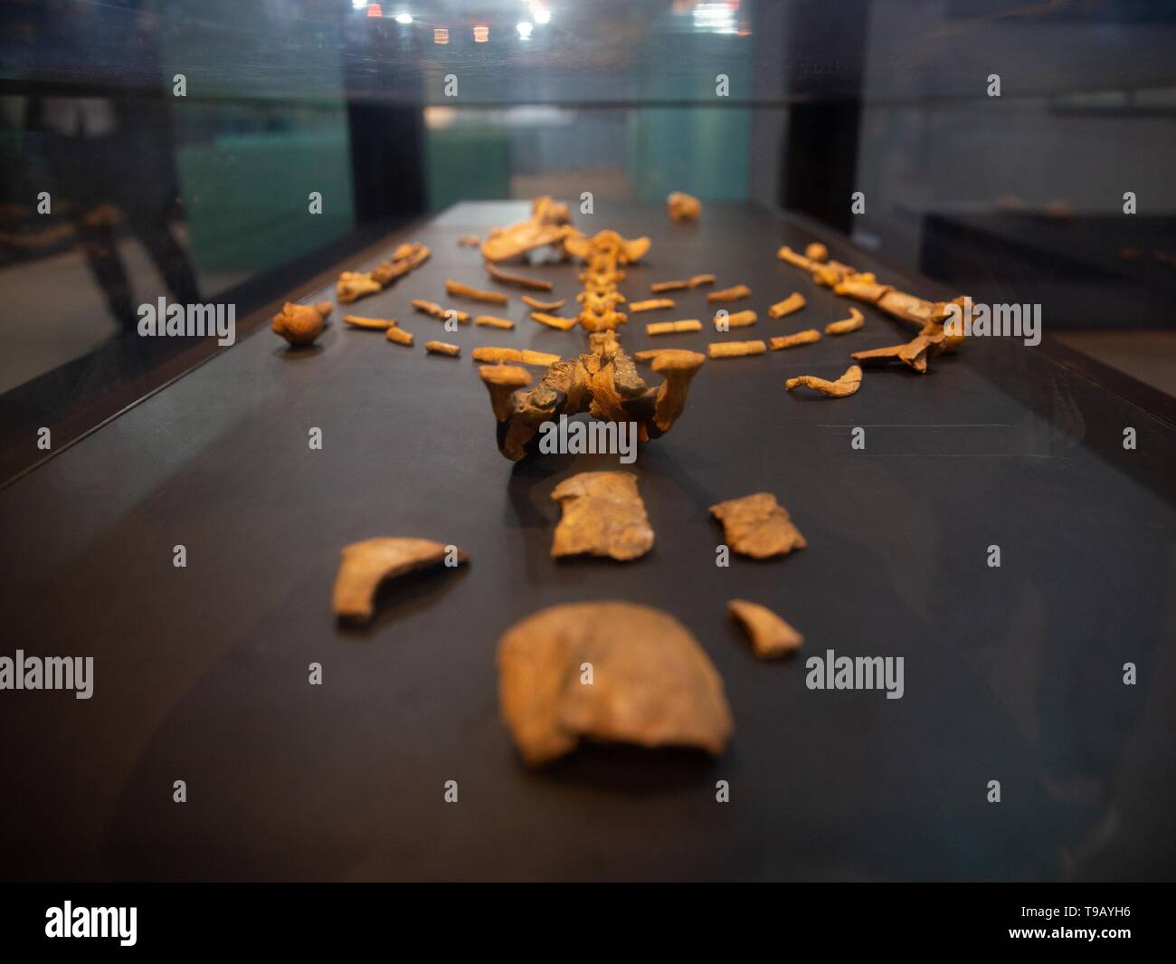 Beijing, China. 17th May, 2019. Photo taken on May 17, 2019 shows the ...