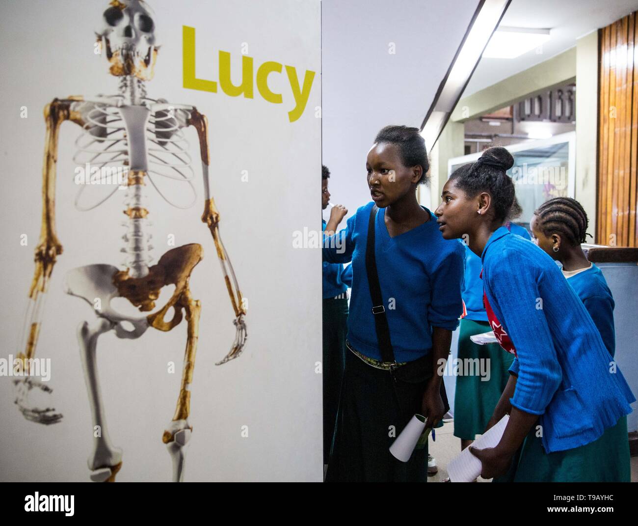Lucy skeleton hi-res stock photography and images - Alamy